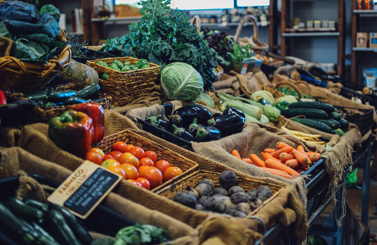 '5 wonders of a plant-based diet' | VegKit.com